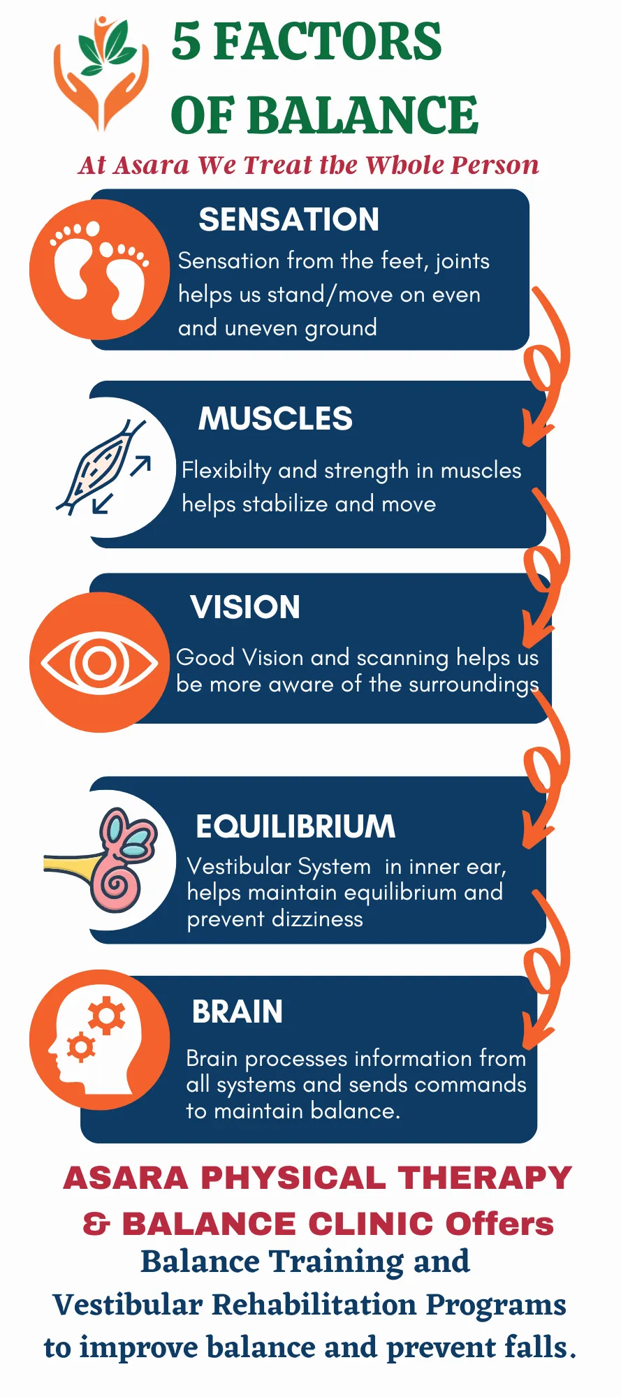 Balance and Falls Recovery Program - Asara Physical Therapy and Balance ...